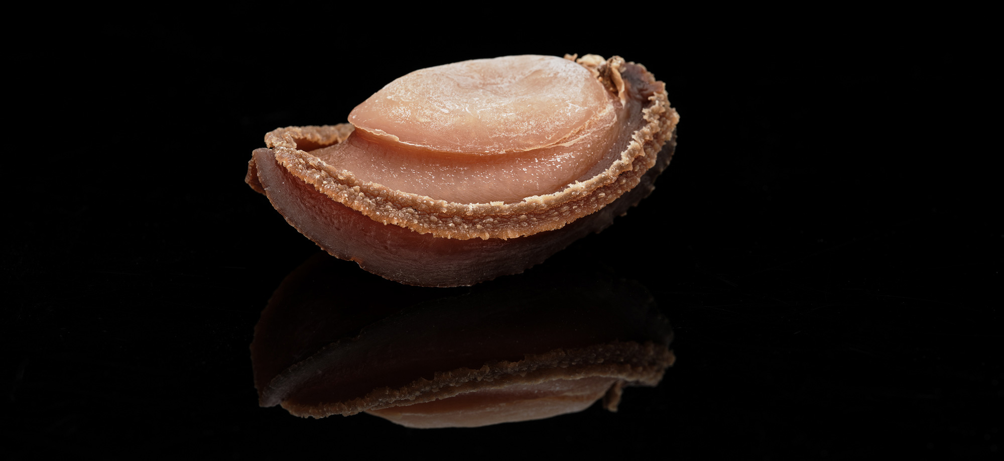 Home - Tas Live Abalone